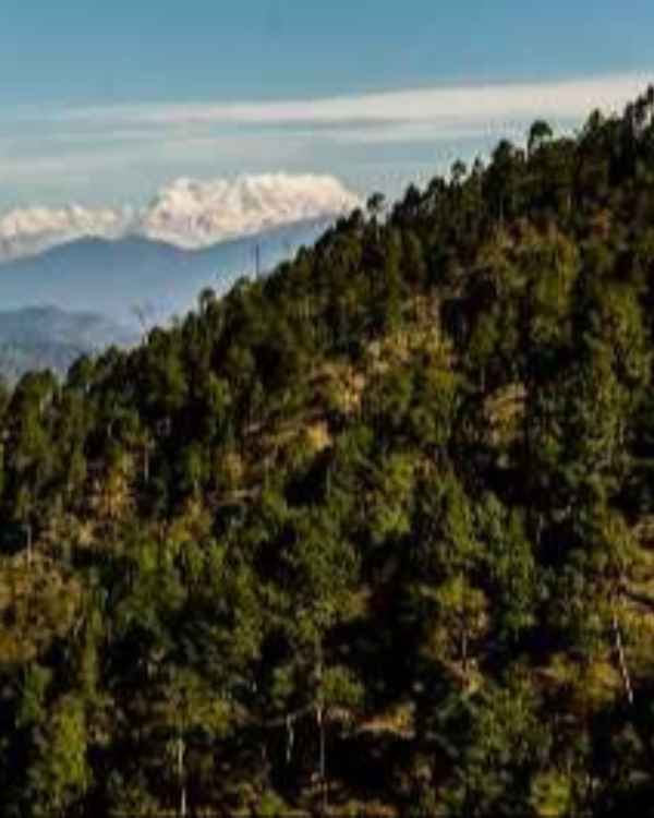 10 THINGS TO DO IN ALMORA - Travel & Explore