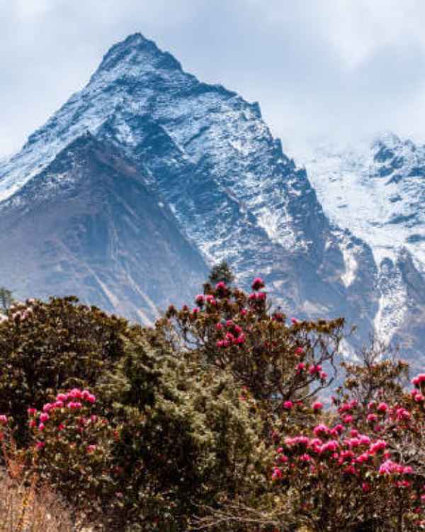 10 THINGS TO DO IN LACHEN