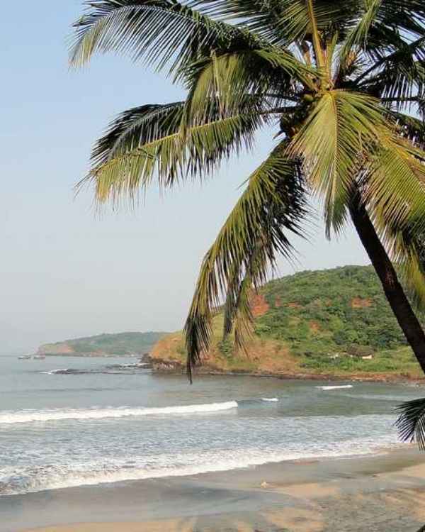 10 THINGS TO DO IN CHIPLUN