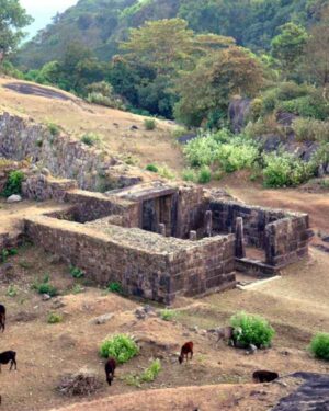 10 THINGS TO DO IN THIRTHAHALLI