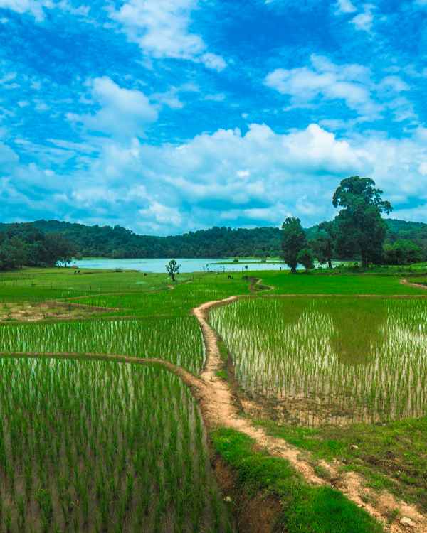 10 THINGS TO DO IN THIRTHAHALLI