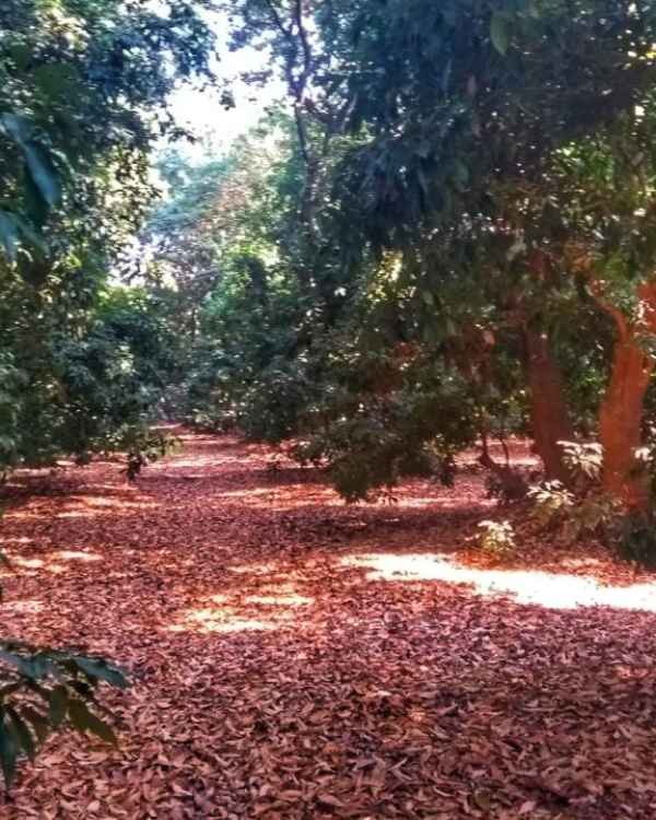 10 THINGS TO DO IN BORDI