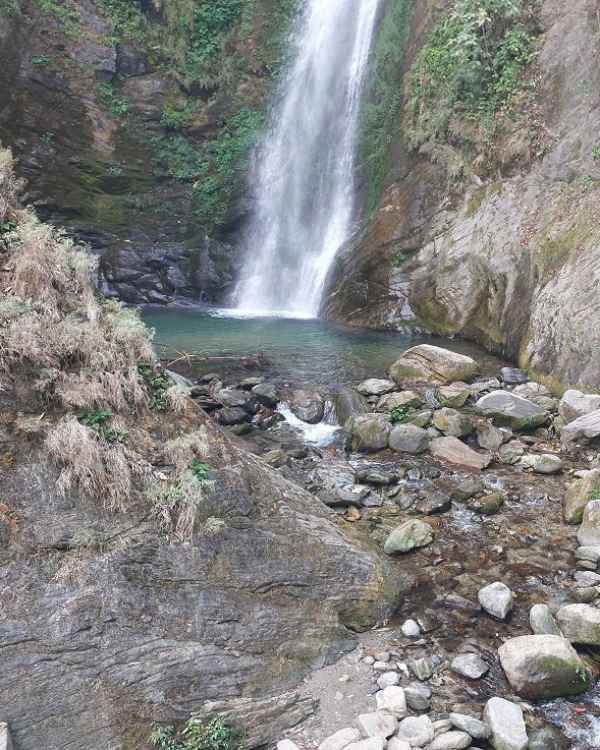 10 THINGS TO DO IN LAVA FOREST