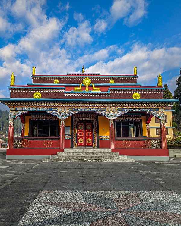 10 THINGS TO DO IN LAVA FOREST