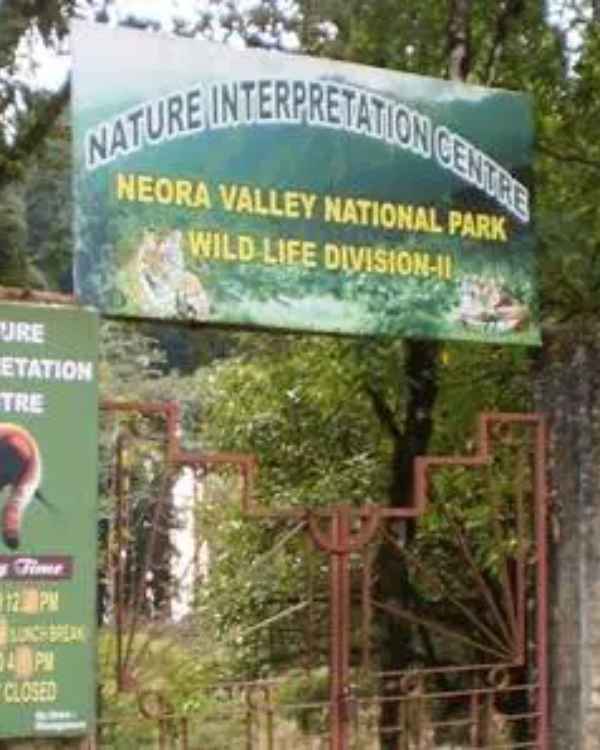 10 THINGS TO DO IN LAVA FOREST