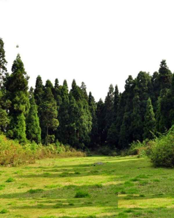 10 THINGS TO DO IN PEDONG