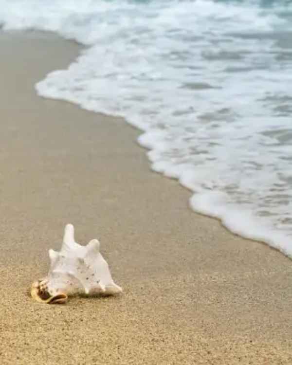 10 THINGS TO DO IN PURI