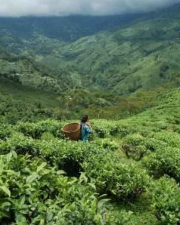 10 THINGS TO DO IN SAMTHAR